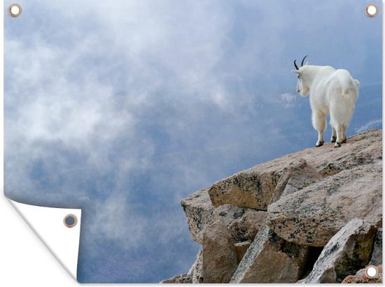 Tuin decoratie Berggeit bij een klif fotoprint - 40x30 cm - Tuindoek ...