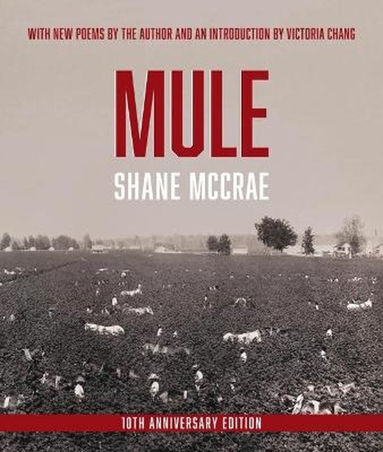 Mule, Shane Mccrae | 9781734816747 | Boeken | bol.com
