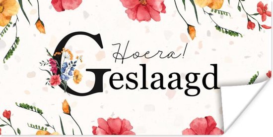 Poster Spreuken - 'Hoera geslaagd' - Quotes - Feest - 160x80 cm | bol.com