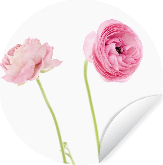 WallCircle - Muurstickers - Behangcirkel - Roze boterbloemen met een witte achtergrond... | bol
