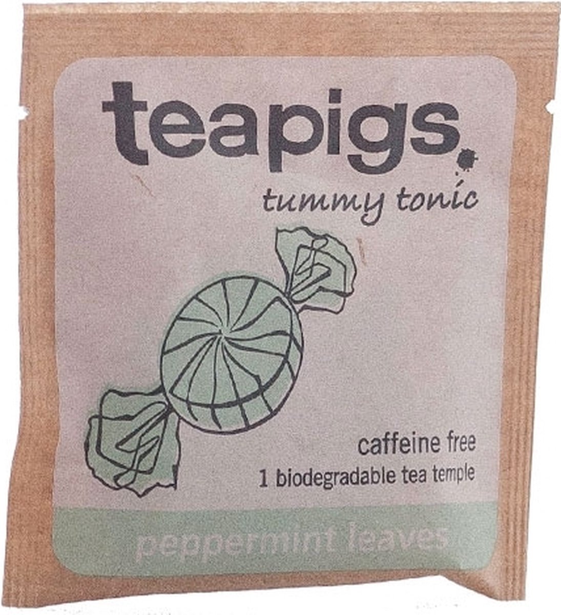 teapigs Peppermint Leaves - Box of 50 Tea Bags in envelopes | bol