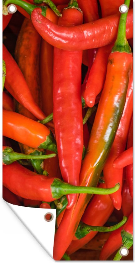Décoration murale d'extérieur Tas de piments rouges - 80x160 cm - Toile ...