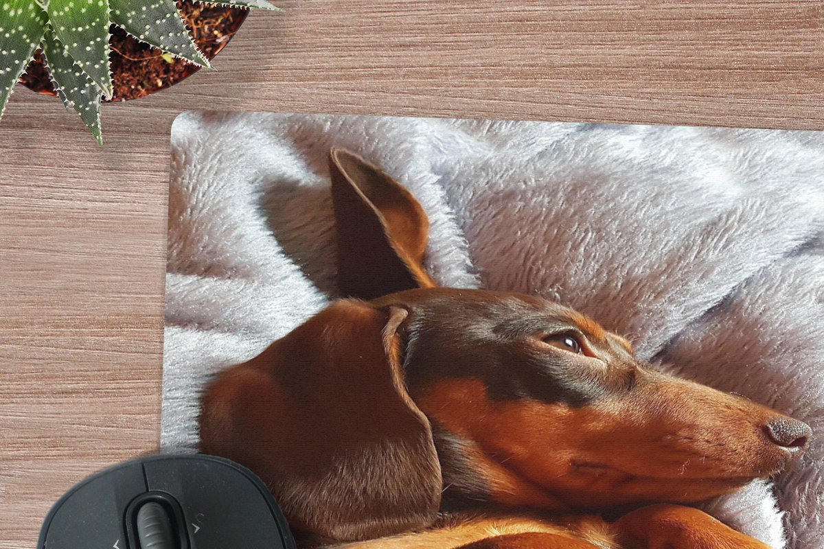 Muismat - Mousepad - Schattige Teckel ligt onder de dekens - 30x30 cm ...