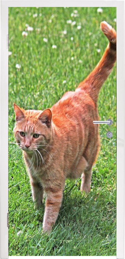 Deursticker Kat - Rood - Kater - 75x205 cm - Deurposter | bol.com