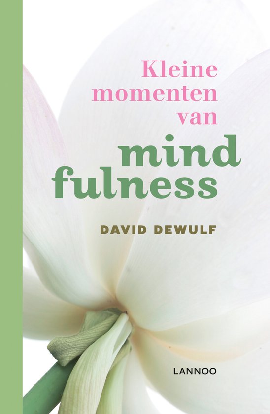 Kleine momenten van mindfulness, David Dewulf | 9789020942101 | Boeken ...