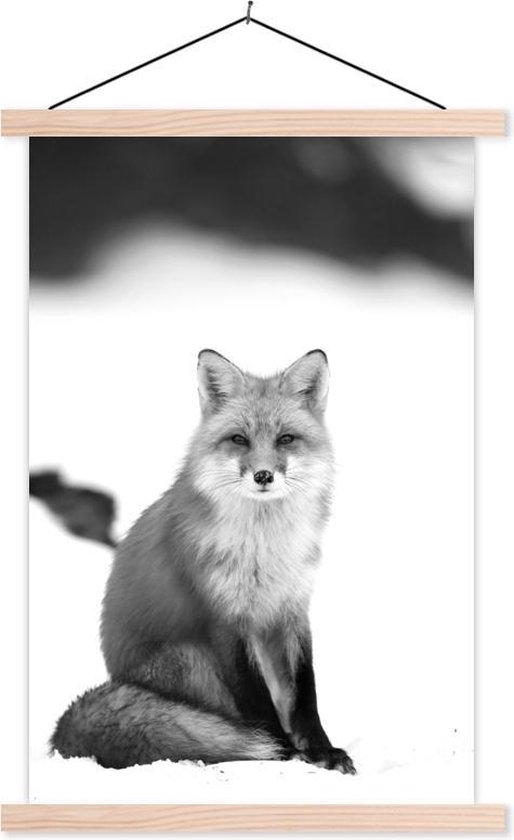 Wilde rode vos - zwart wit | bol.com