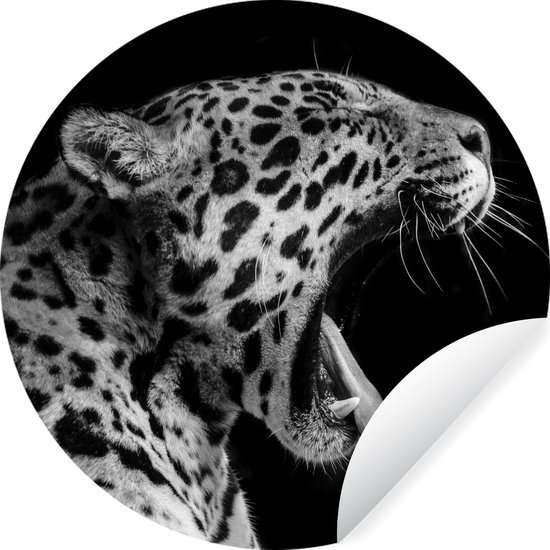 WallCircle - Muurstickers - Behangcirkel - Jaguar - Dier - Zwart - Wit - ⌀ 120 cm -... | bol