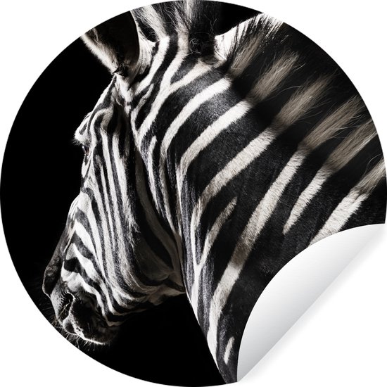 WallCircle - Muurstickers - Behangcirkel - Zebra - Dier - Zwart - Portret - 100x100 cm... | bol