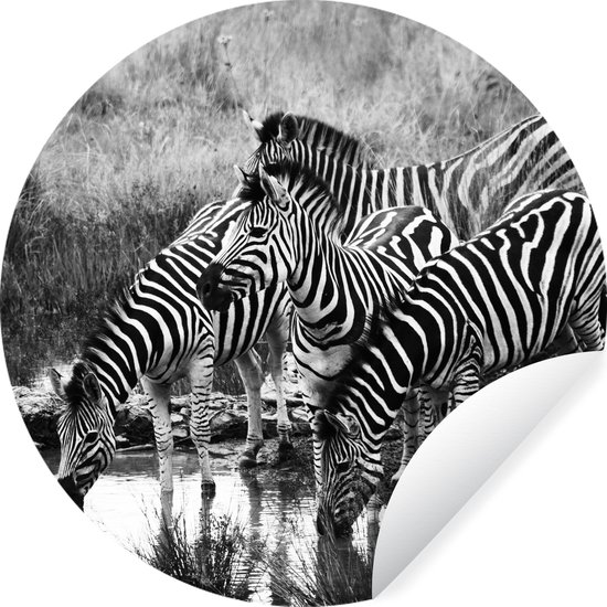 WallCircle - Muurstickers - Behangcirkel - Drinkende zebra's - 100x100 cm - Muurcirkel... | bol.com