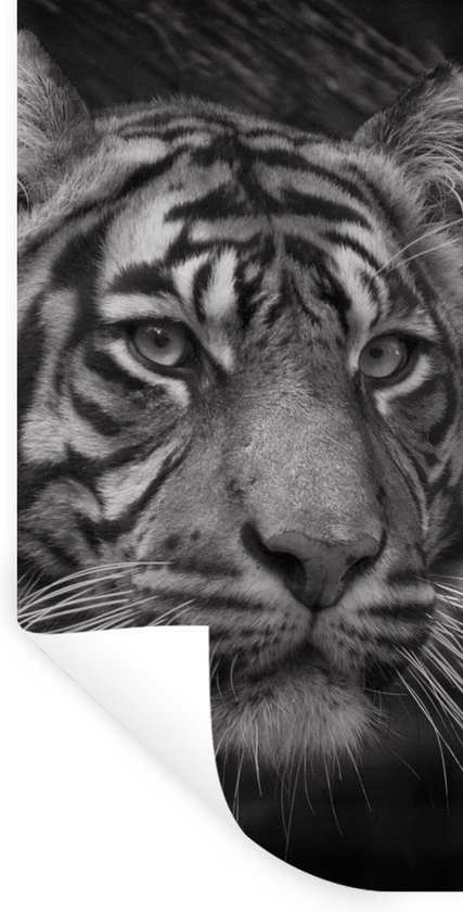 Muurstickers - Sticker Folie - Tijger - Wild - Zwart - Wit - 60x120 cm - Plakfolie -... | bol