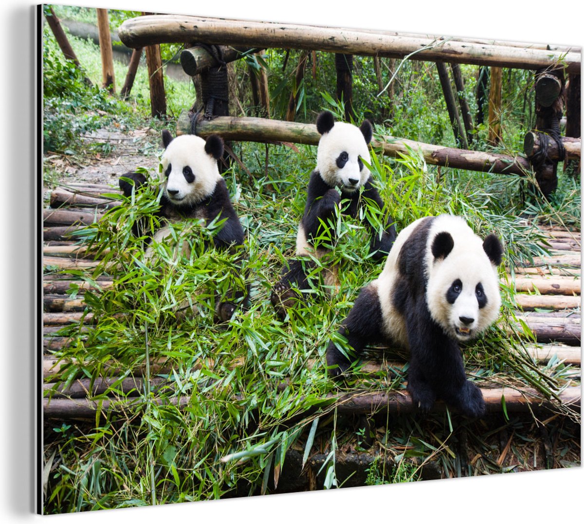 Décoration murale Métal - Peinture Aluminium Industrielle - Pandas ...