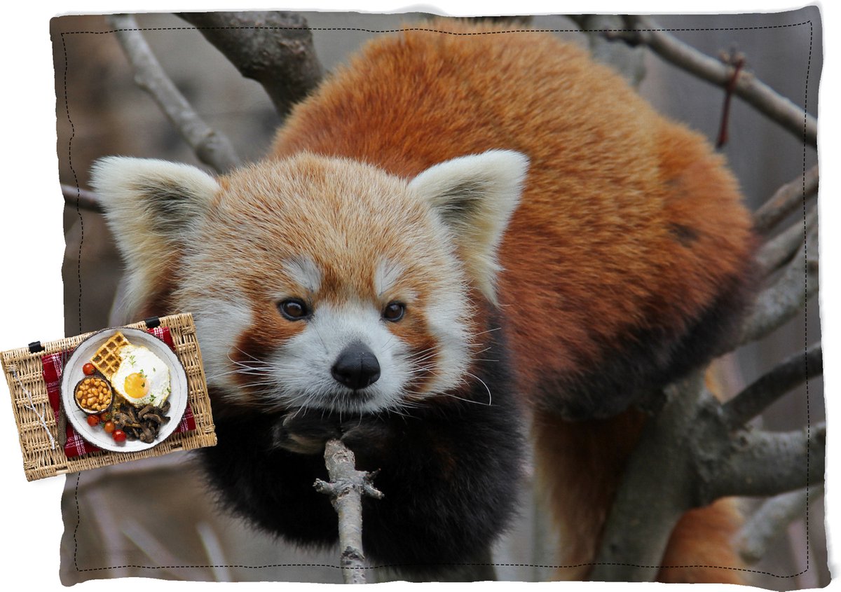 Picknickkleed - Buitenkleed - Rode Panda - Takken - Boom - Vloerkleed ...