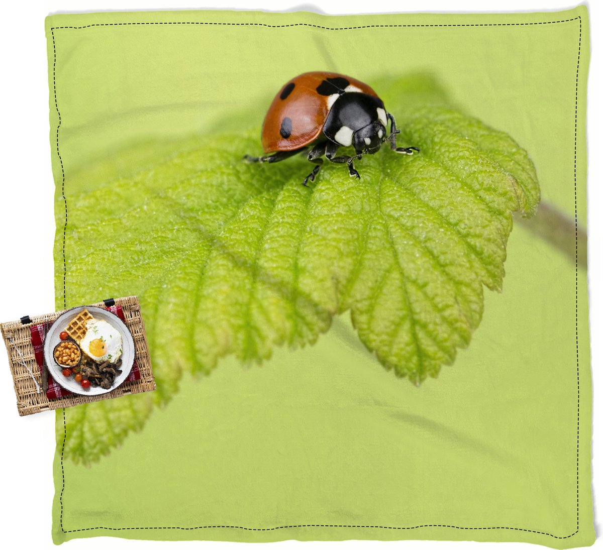 Picknickkleed - Buitenkleed - Lieveheersbeestje groen blaadje ...