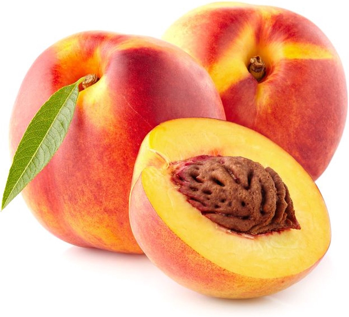 Flavortop Nectarineboom -Fruitboom- 120 cm hoog- Laagstam- Potgekweekt ...