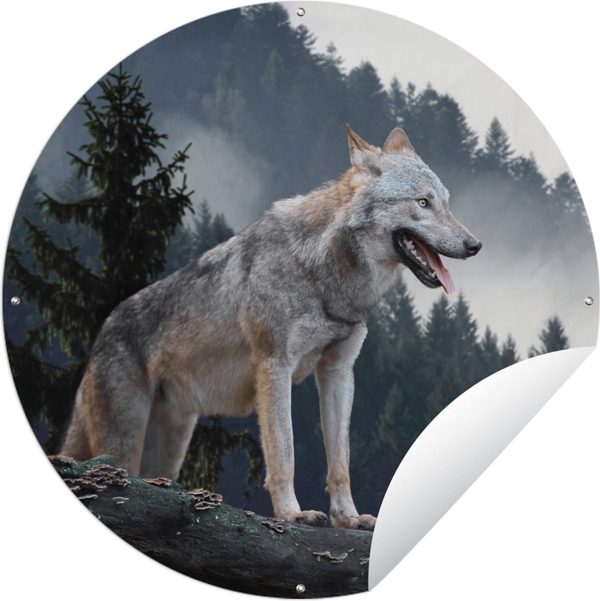 Garden Circle Loup - Animal - Forêt - 90x90 cm - Affiche de Jardin ...