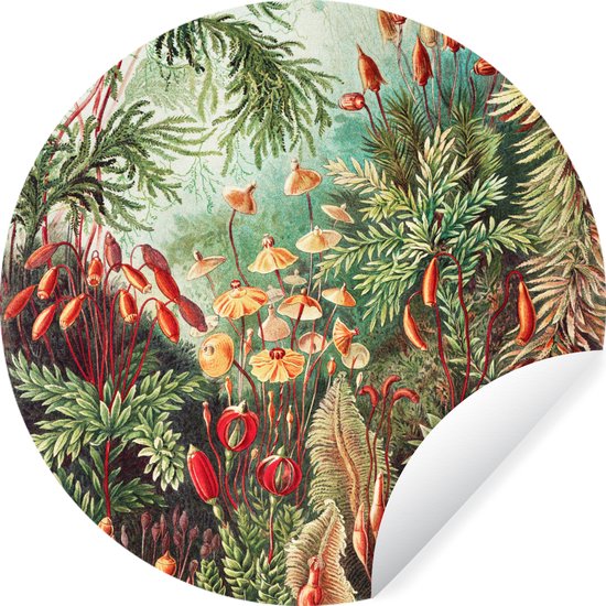 WallCircle - Muurstickers - Behangcirkel - Bloemen - Kunst - Vintage - Natuur -... | bol