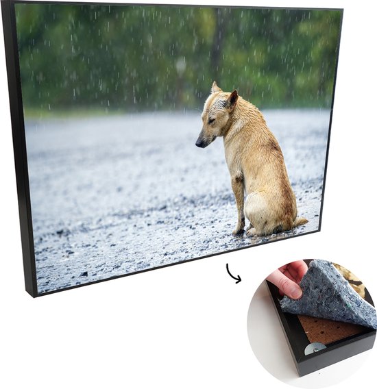 Akoestische Panelen - Geluidsisolatie - Akoestisch Wandpaneel ...