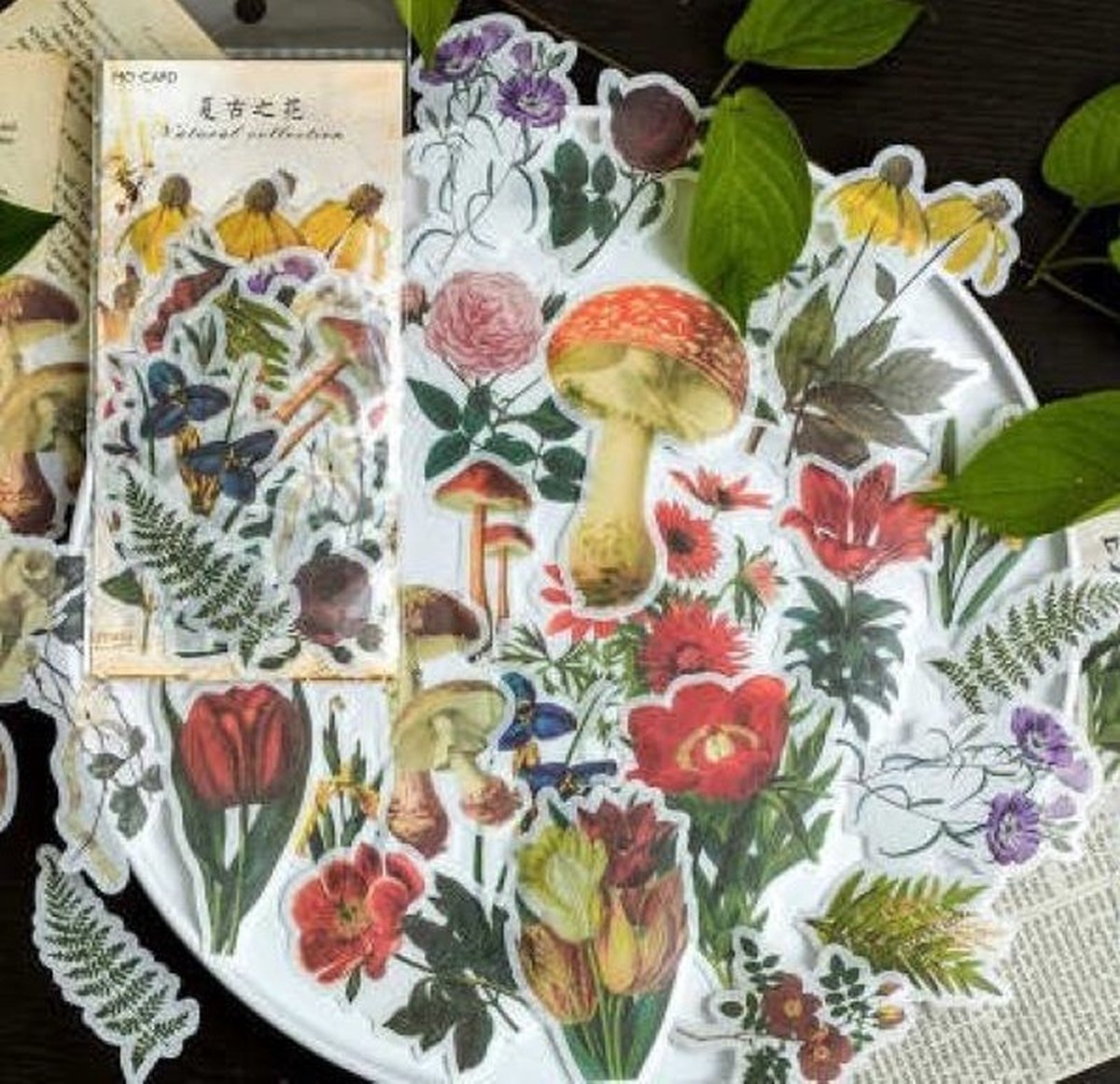 Deco stickers Natural Collection - 60 stuks - Planten en Paddenstoelen ...