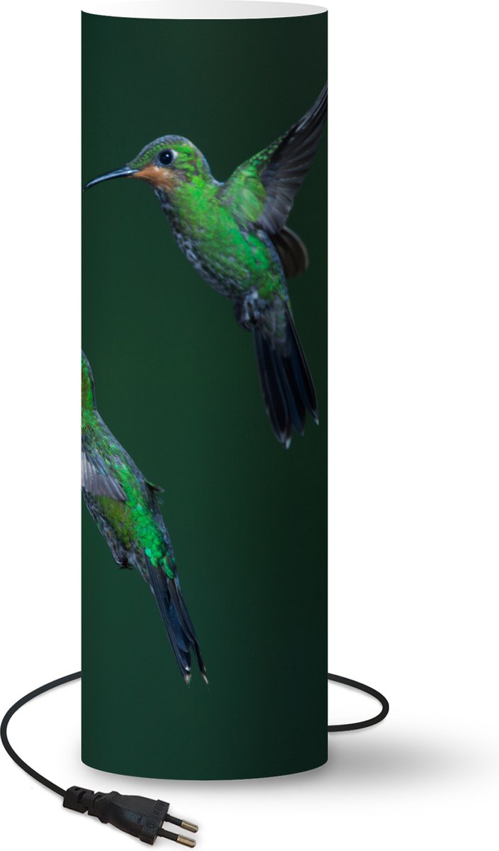 Lampe Colibri - Un présentoir avec de nombreuses nuances de vert de ...