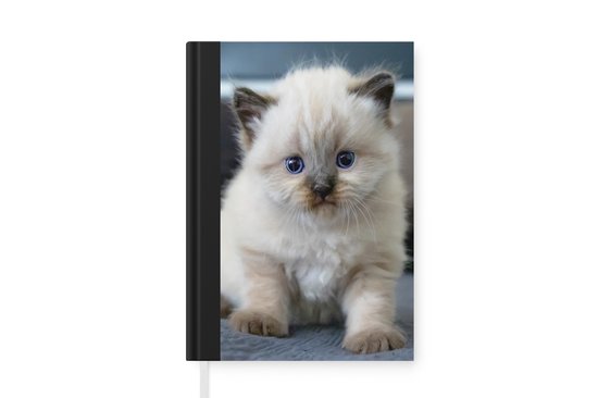 Carnet - Cahier d'écriture - Chaton - Chat - Animal - Carnet - Format ...