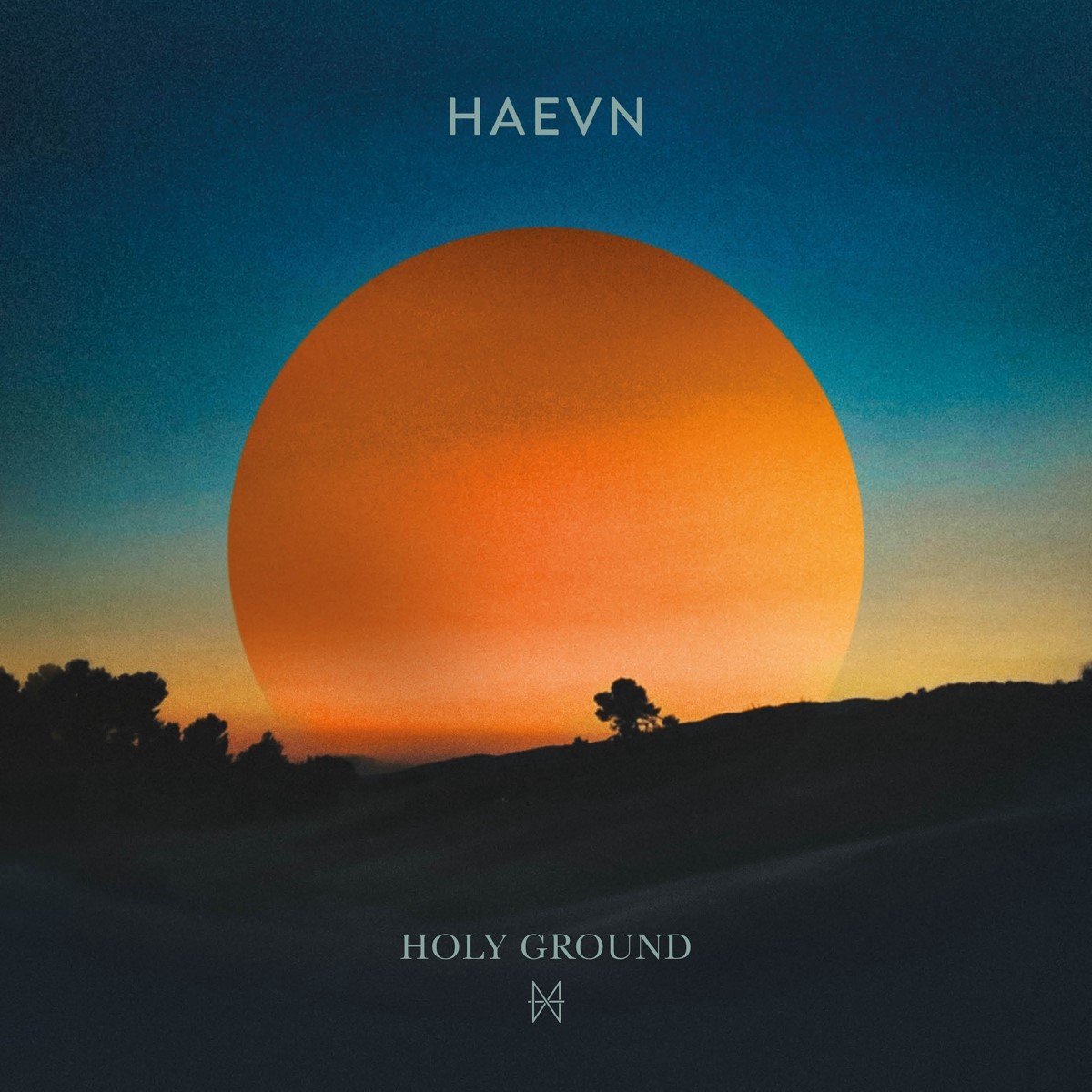 Haevn - Holy Ground (12" Vinyl Single), HAEVN | Muziek | bol.com