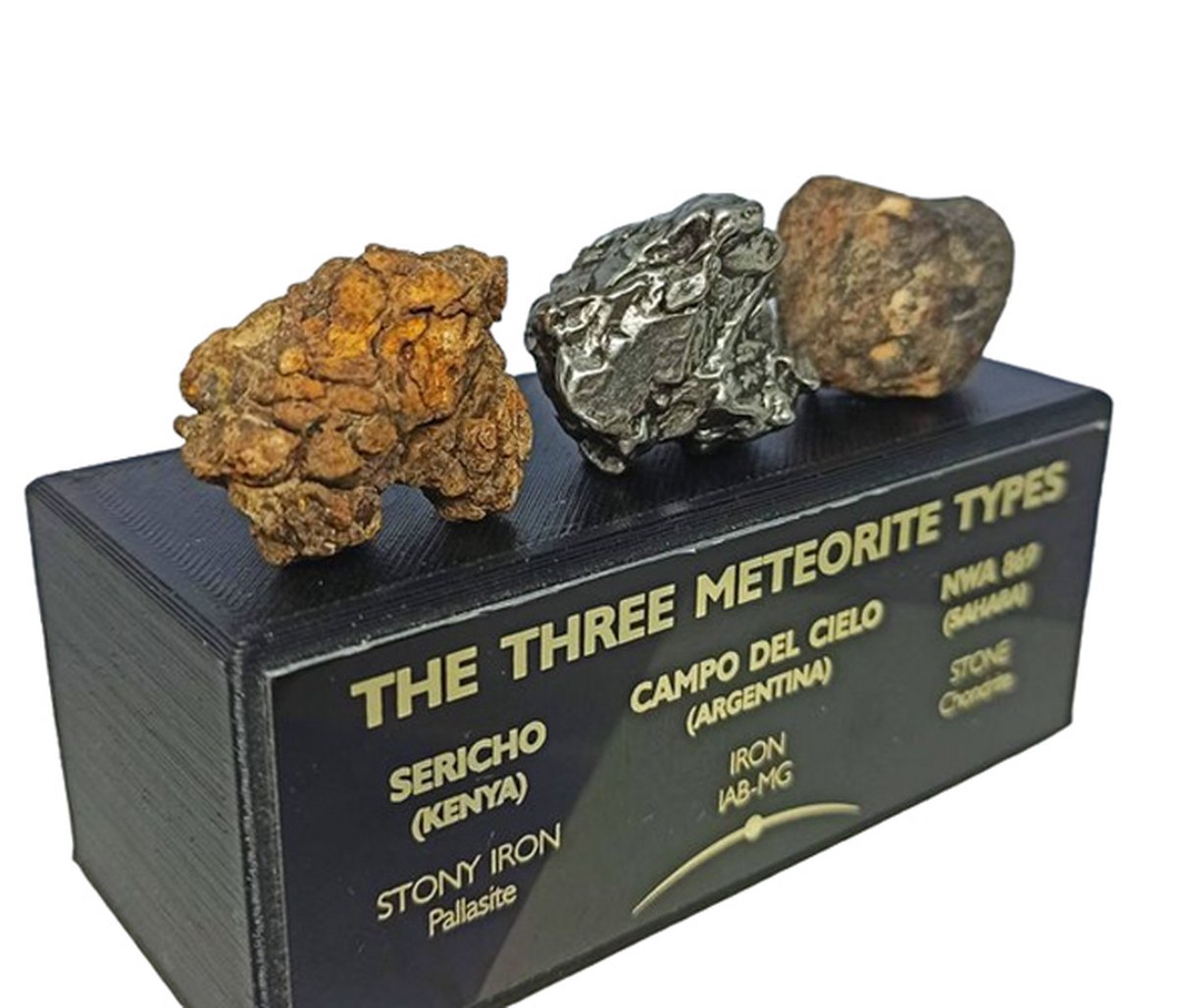 Originele Meteorieten op prachtige standaard - Geleverd met Certificaat ...
