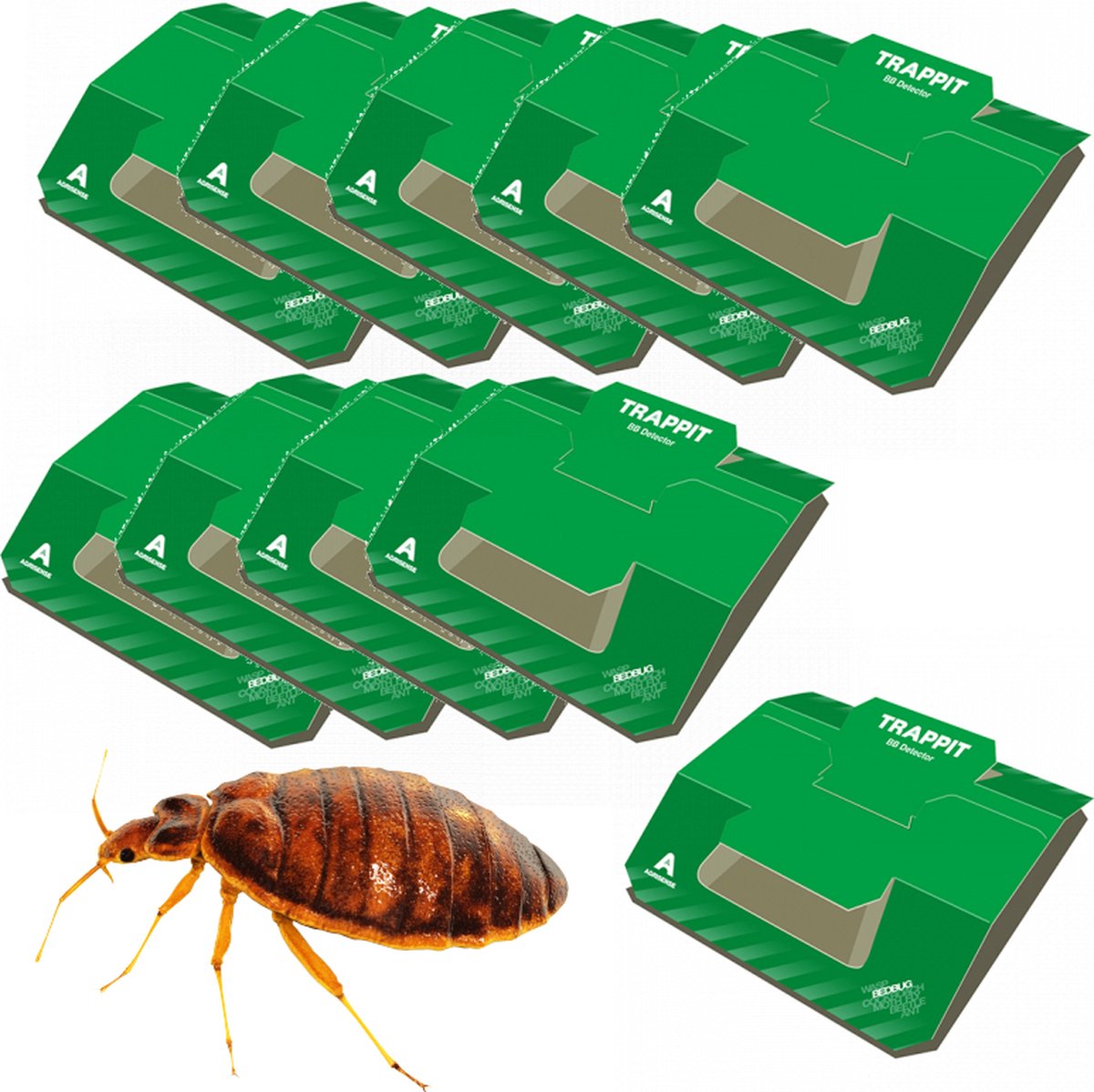 10x2 Trappit bedwantsenval | bol