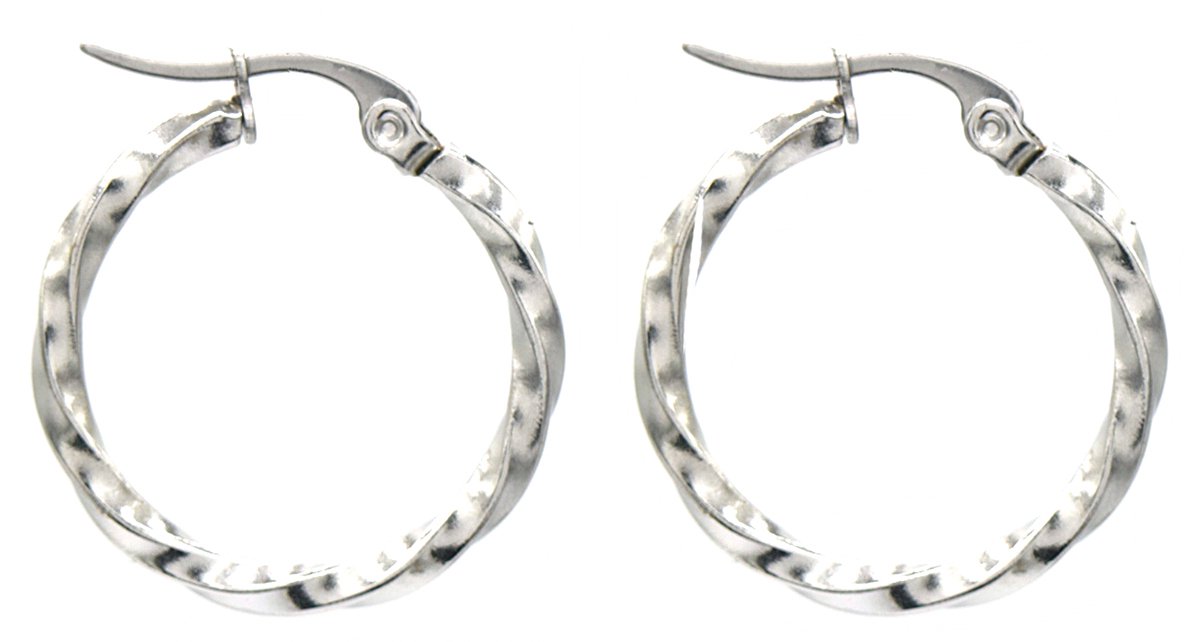 Oorbellen Twister - Oorringen - RVS - 2,5 cm - Zilverkleurig | bol.com