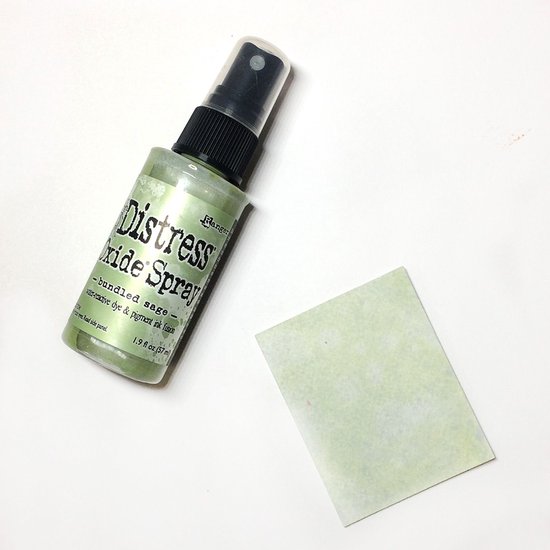 Ranger Distress Oxide Spray - Bundled Sage TSO67603 | bol.com