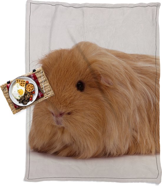 Waterdicht Picknickkleed - Geschikt als Strandlaken / Strandmat ...