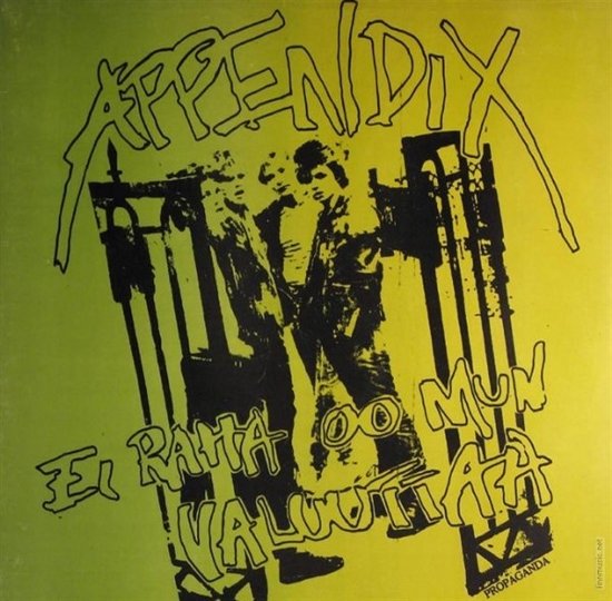 Appendix - Ei Raha Oo Mun Valuutaa (LP), Appendix | Muziek | bol