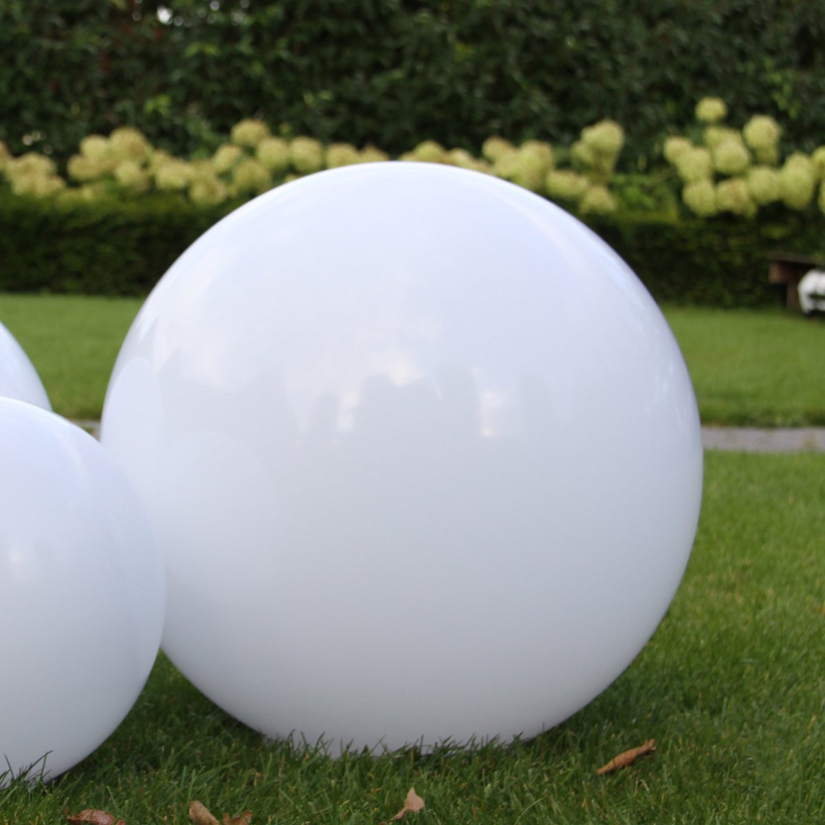 Tuinbol Ø 50 incl. Spie | bol