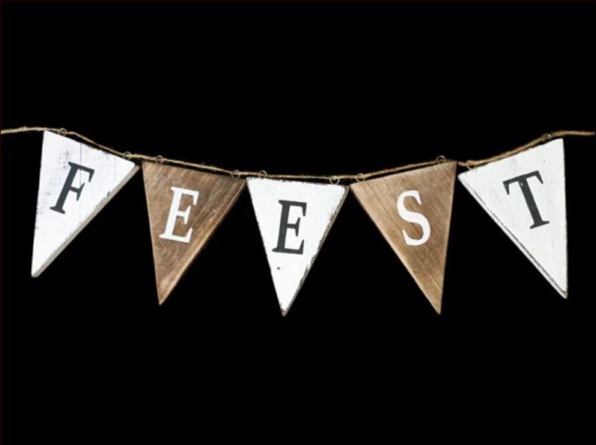 Houten vlaggetjes 13x50 cm feest ant. White/ natural / verjaardag ...