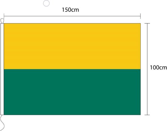 Vlag van Den haag 100 x 150cm | bol