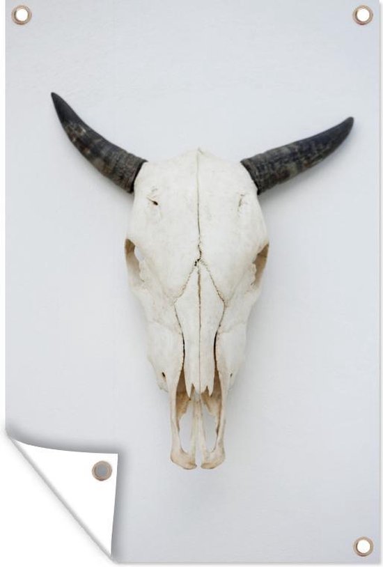 Tuinposters buiten Schedel van een koe op een muur - 60x90 cm | bol.com