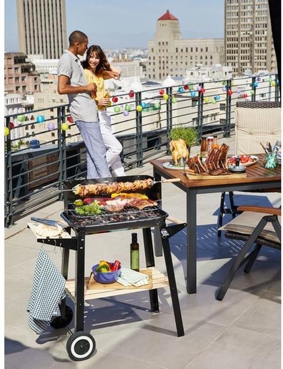 Grote Barbecue BBQ ideaal in de zomer met wielen - extra barbequespies ...
