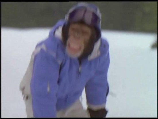 Mxp: Most Xtreme Primate (Dvd), Robby Benson | Dvd's | bol