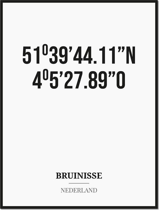 Poster/kaart BRUINISSE met coördinaten | bol