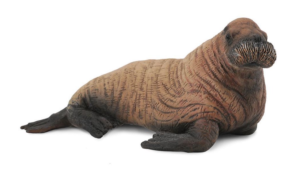 Collecta Sea Animals: Veau Morse 7 Cm Marron | bol.com
