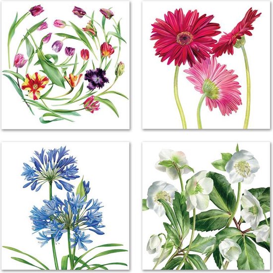 Glebe Cottage The Eco-Friendly Card Company Notecard ~ Kaartenmapje ...