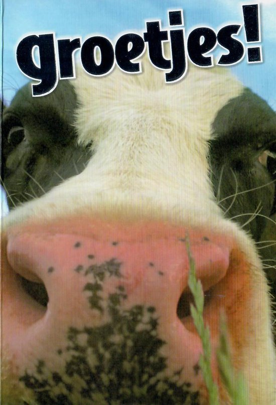 Wenskaart Groetjes! 6 stuks inclusief envelop - Gratis verzending | bol