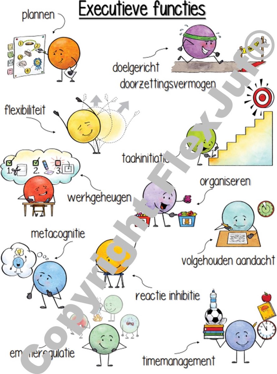 FlexJuf Educatieve poster executieve functies A2-formaat | bol
