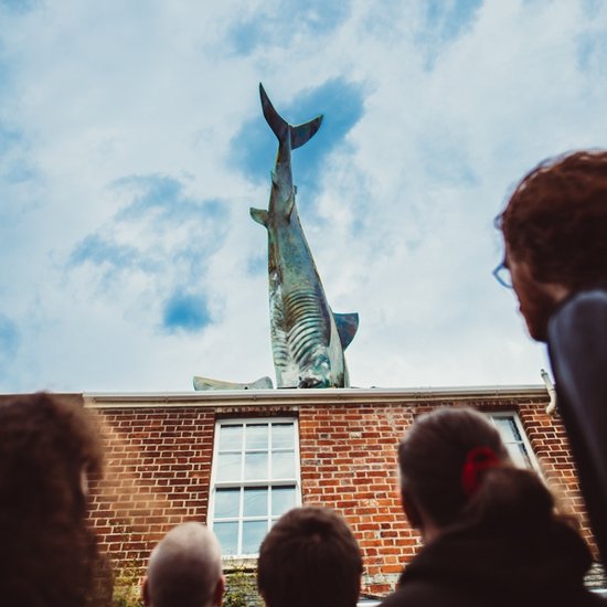 Anti-fun Propaganda | 5030463617571 | Boeken | bol