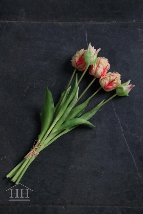 Papegaai tulpenboeket - kunst tulpen - 40cm - 5 stelen - donker roze ...