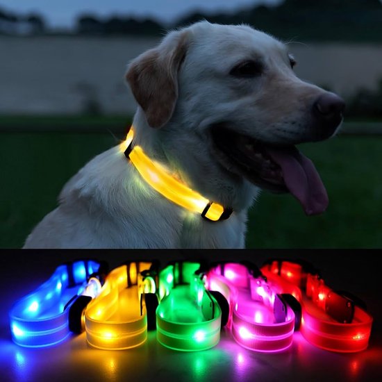 Led>Halsband>Hond>Kat>Geel/Yellow>products Of Elite | bol
