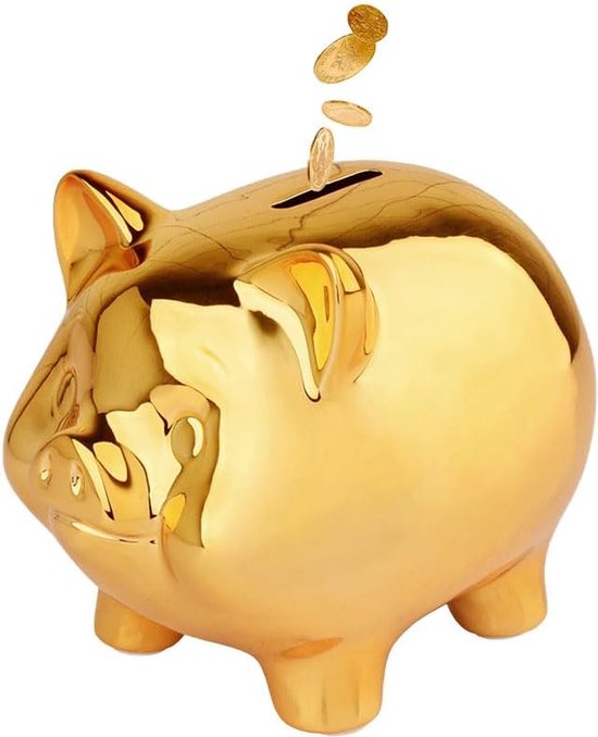 DiverseGoods Keramische Spaarvarken - Een Stijlvolle en Duurzame ...