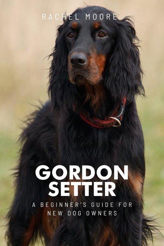 Beginner Dog Owner Guides 1 - Raising a Gordon Setter as a Pet: A ...