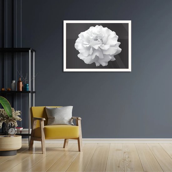 Poster Witte Anjer Rechthoek Horizontaal Met Lijst M (40 X 30 CM ...