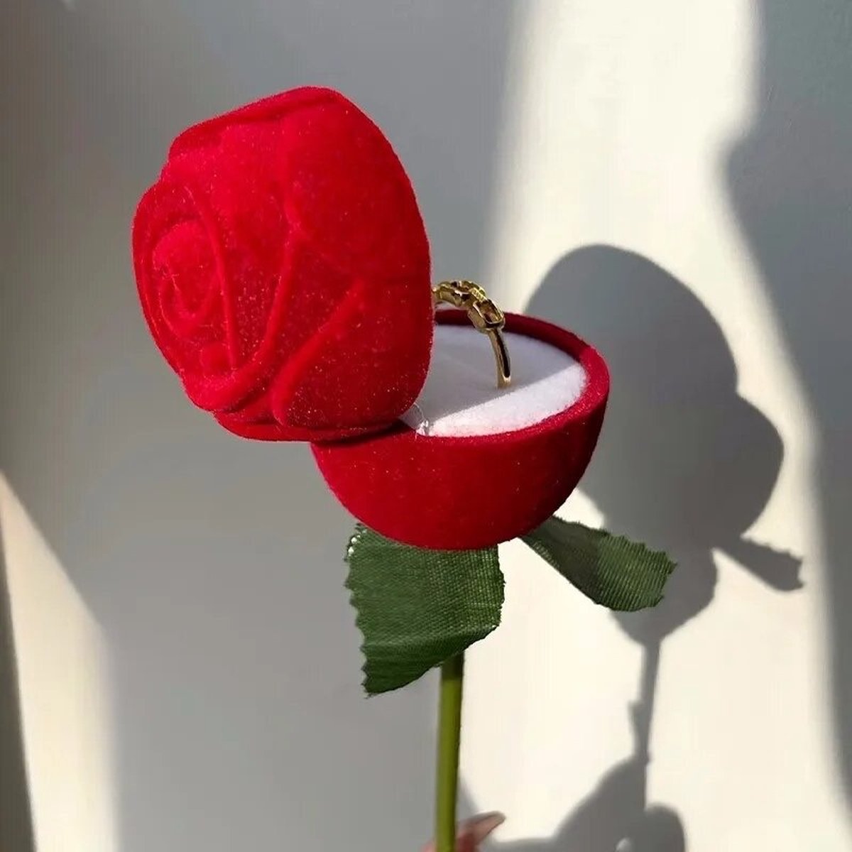 Roos - aanzoek met ring - Verassing - verloving - cadeau - trouwen ...