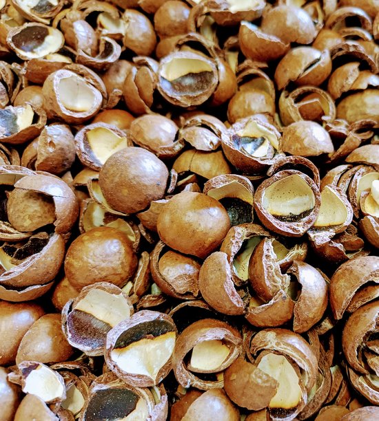 Macadamia doppen - Nocciolo - Bodembedekker - Alternatief voor ...